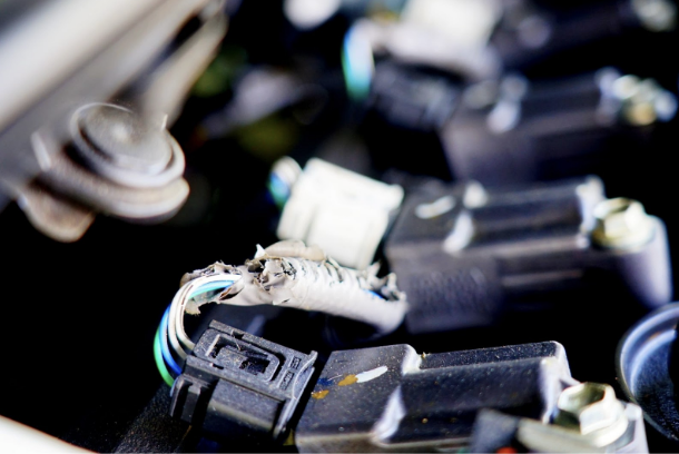 How to Keep Rats from Damaging Car Wires | Christian Brothers Automotive